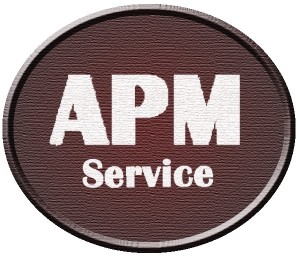APM Service